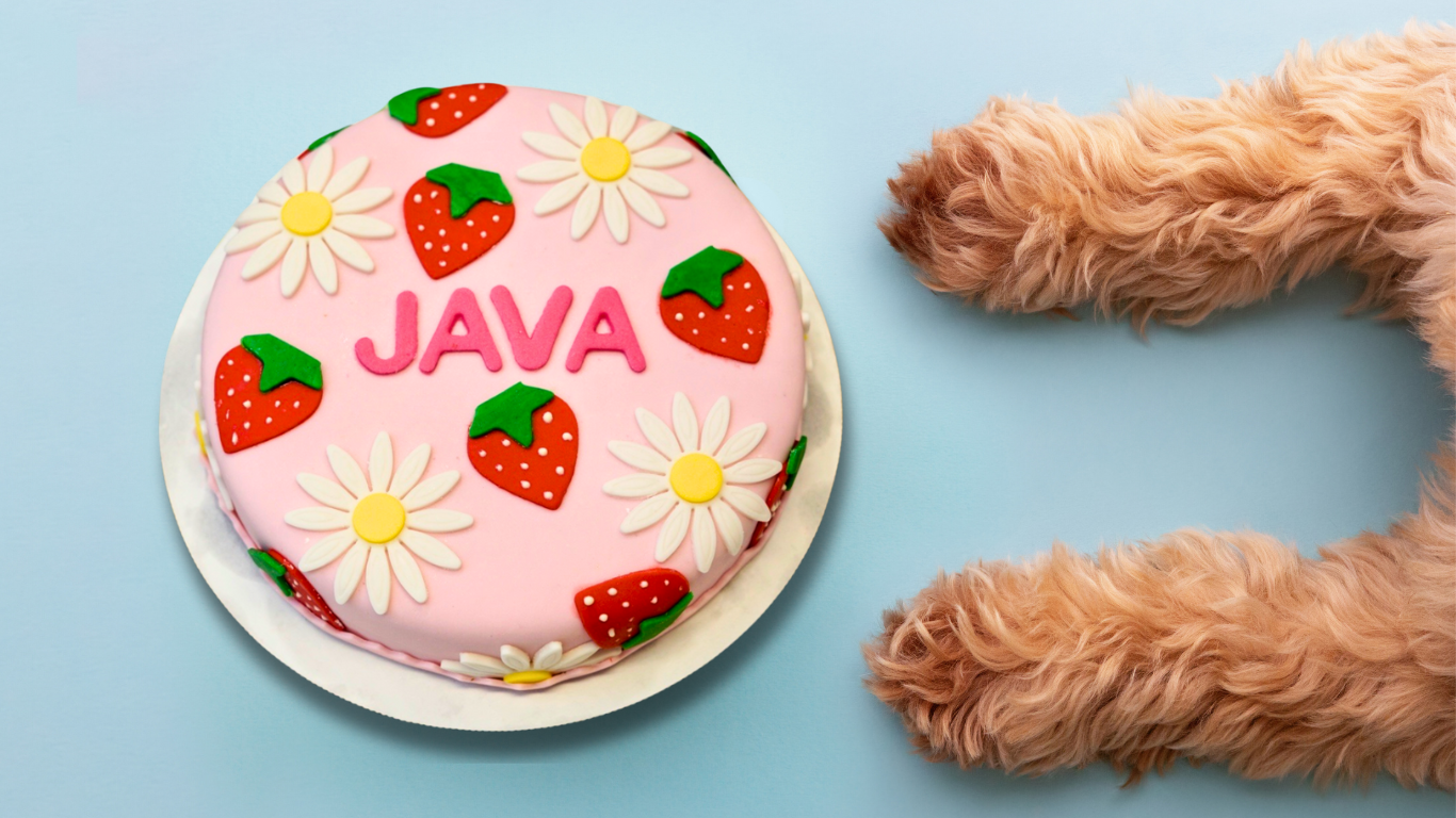 3 Paws Kitchen-Personalized Birthday cakes, treats & food for Dogs